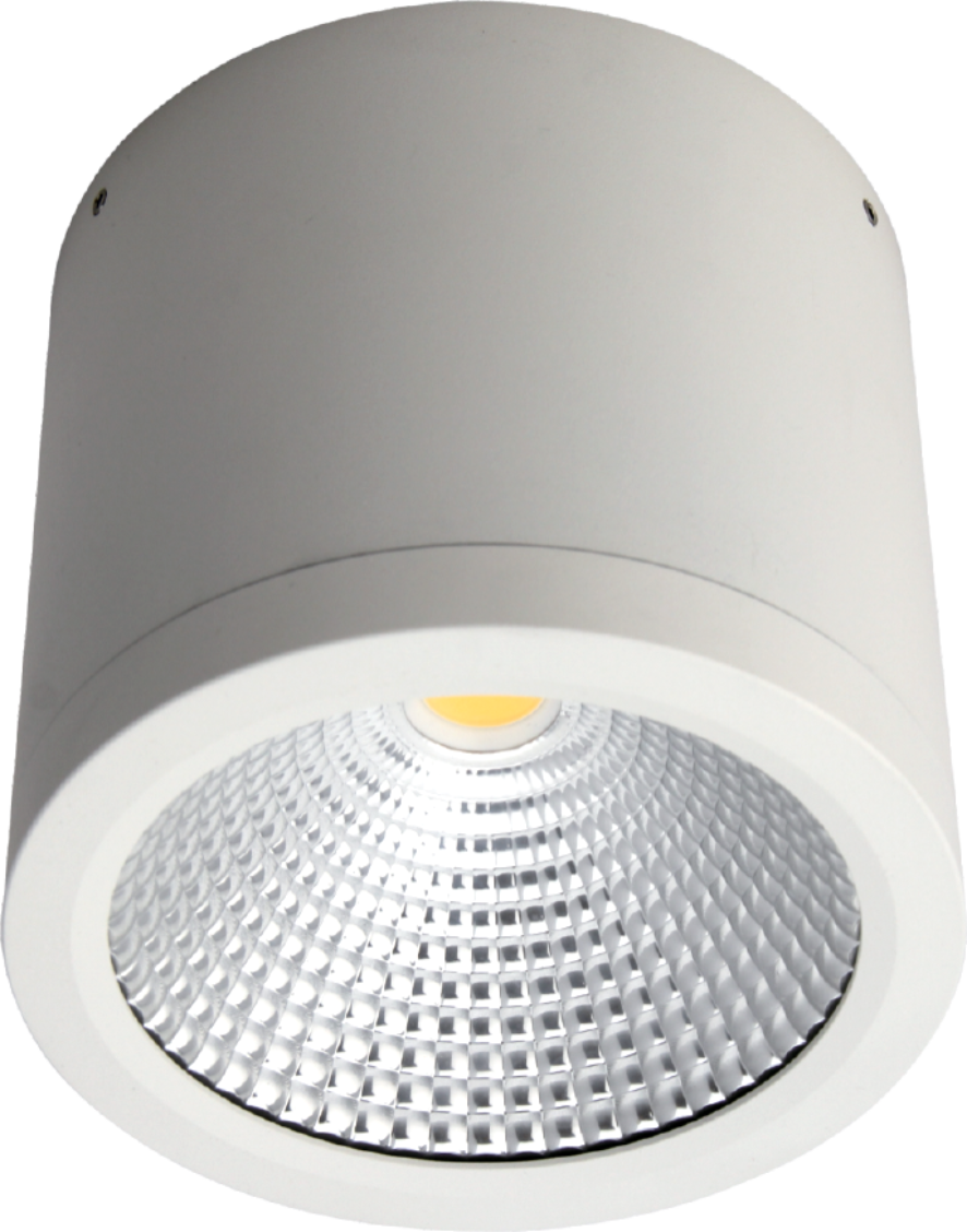 Rexel Lighting | 25W Surface Mount LED Downlight Rexel Lighting | 25W Surface Mount LED Downlight